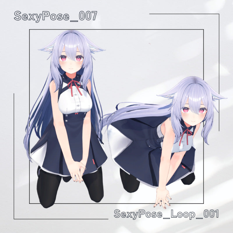 [20250114- ] "V WORLD" [Avatar Motion & Poses] Animation Collection “S ...